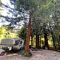 Smithwoods RV Park | Felton, California