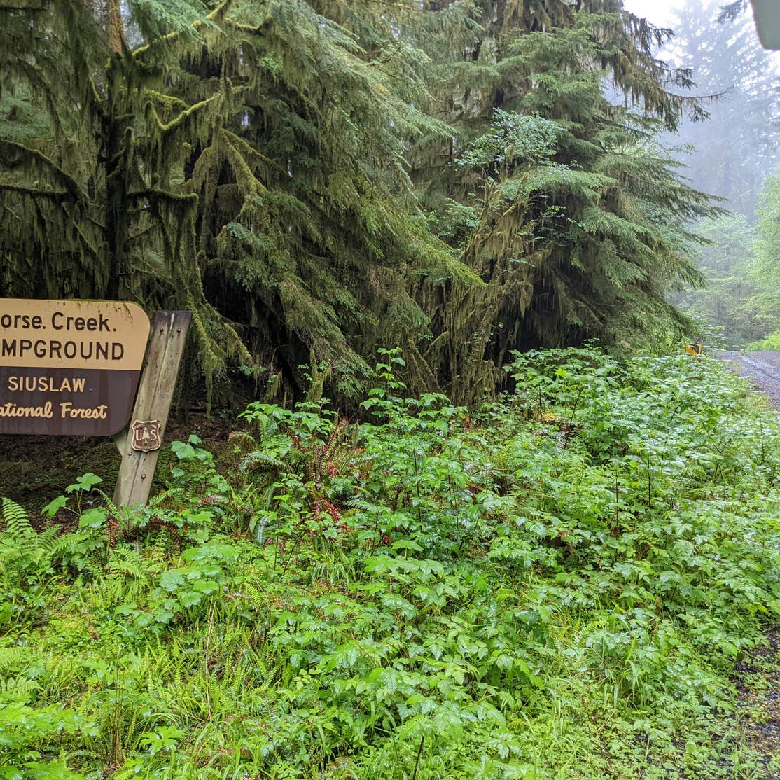 Horse Creek Campground — Siuslaw National Forest | Florence, Oregon