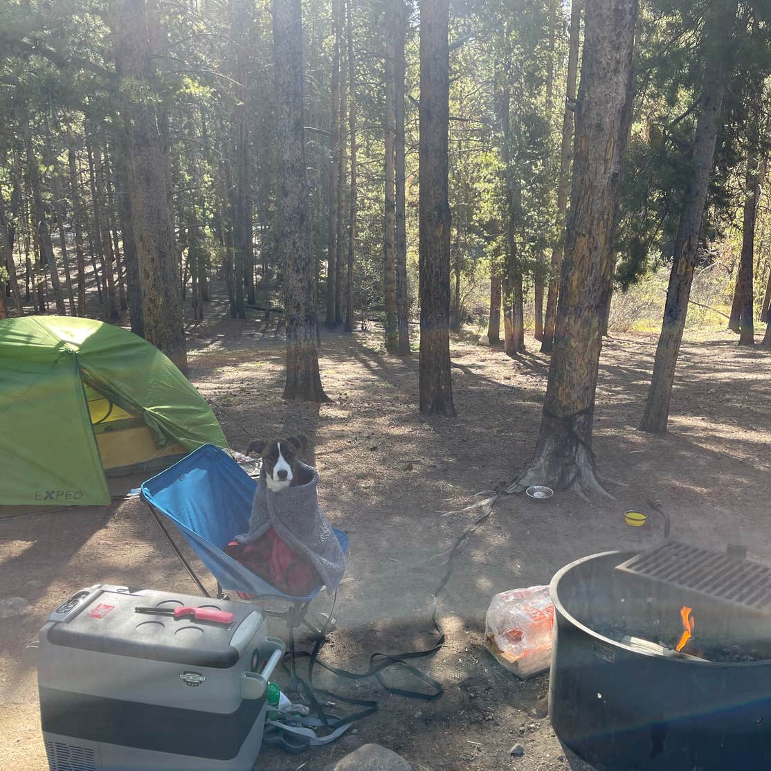 Tabor Campground | Leadville, Colorado