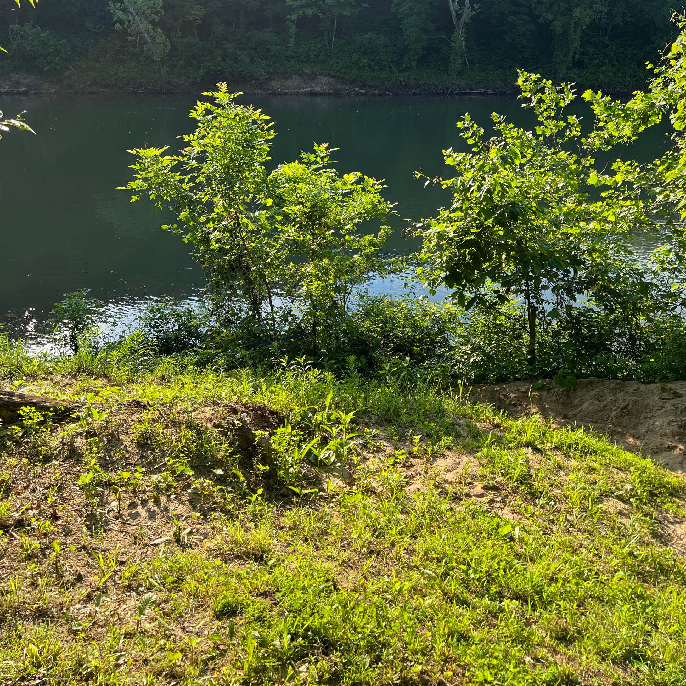 Boiling Springs Campground | Newburg, Missouri