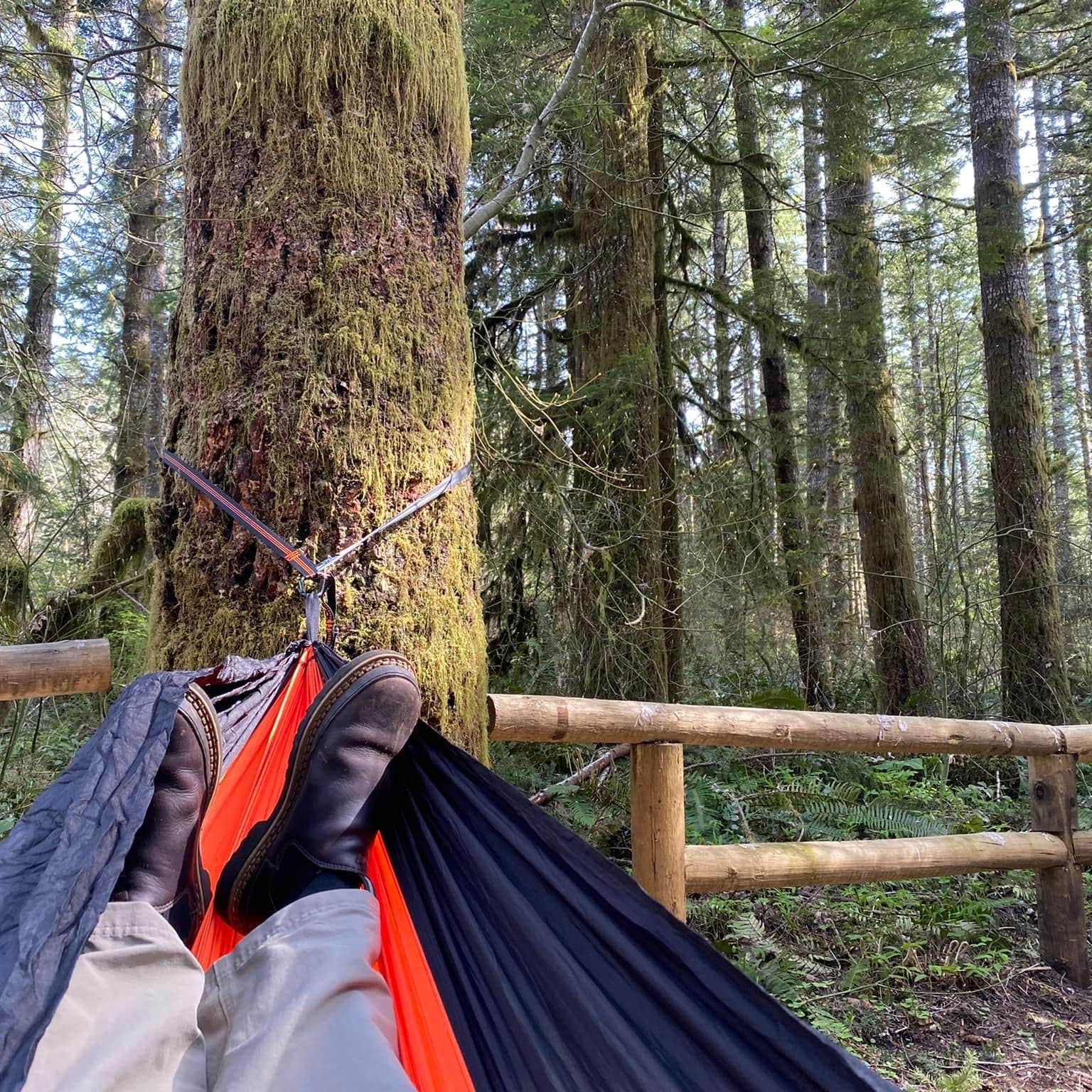 Alsea Falls Recreation Site (campground) | Alsea, Oregon