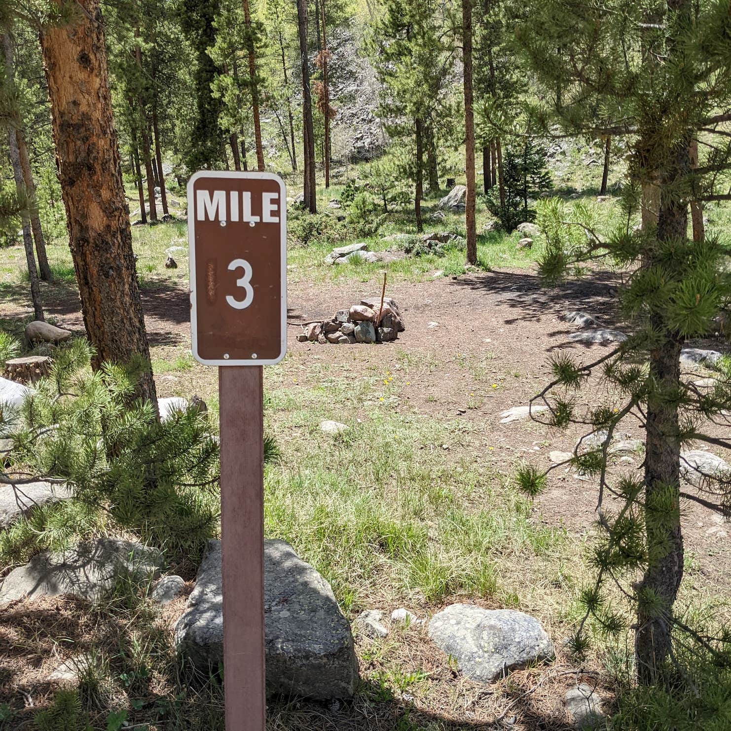 Homestake Reservoir Rd Milemarker 3 - Dispersed Camping | The Dyrt