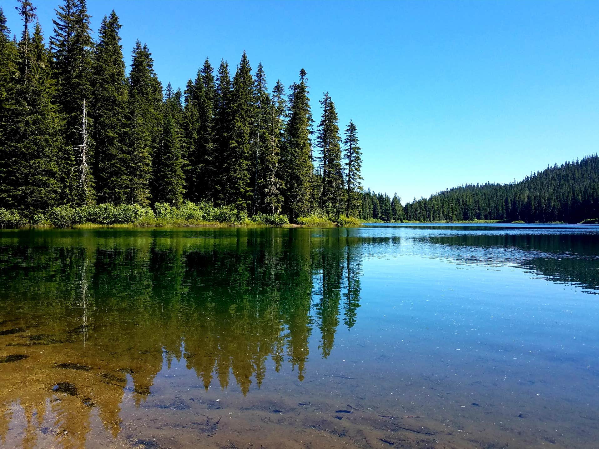 Council Lake Camping | Skamania, WA