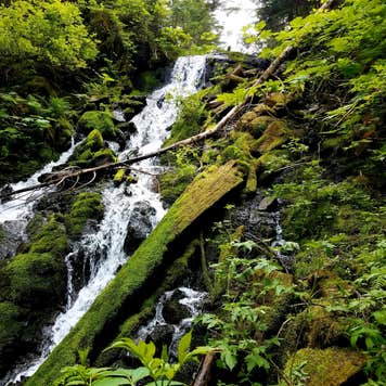 Council Lake Camping | The Dyrt