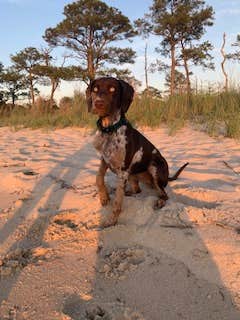 Roaring Point Waterfront Campground | Nanticoke, MD