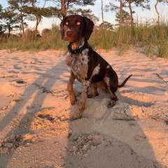 Roaring Point Waterfront Campground | Salisbury, Maryland