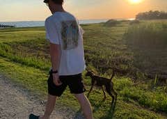 Roaring Point Waterfront Campground Camping | The Dyrt