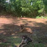 Roaring Point Waterfront Campground | Salisbury, Maryland