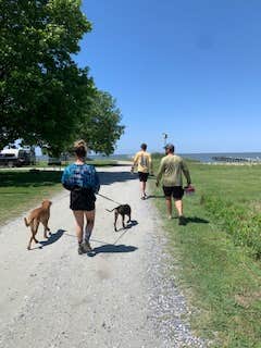 Roaring Point Waterfront Campground | Nanticoke, MD