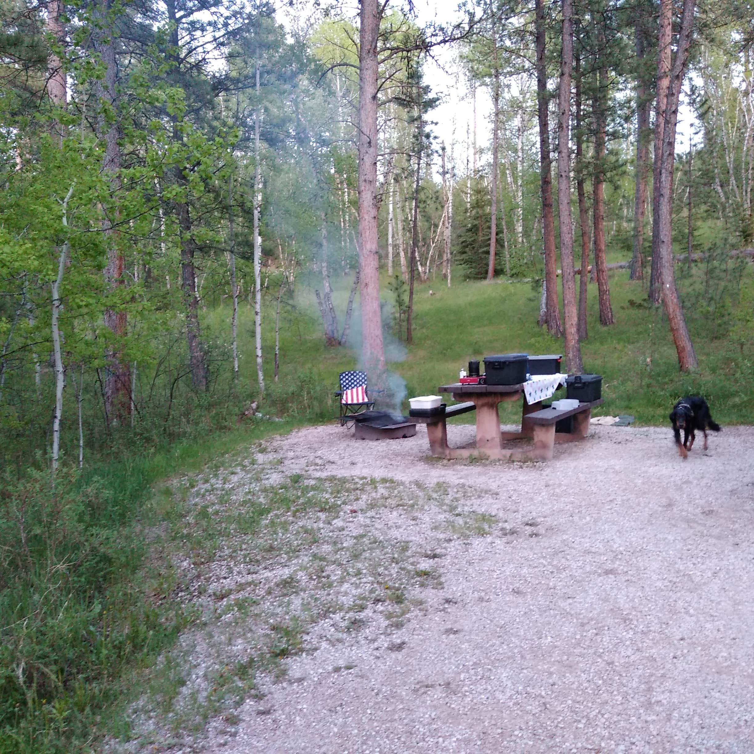 Oreville Campground Camping | The Dyrt