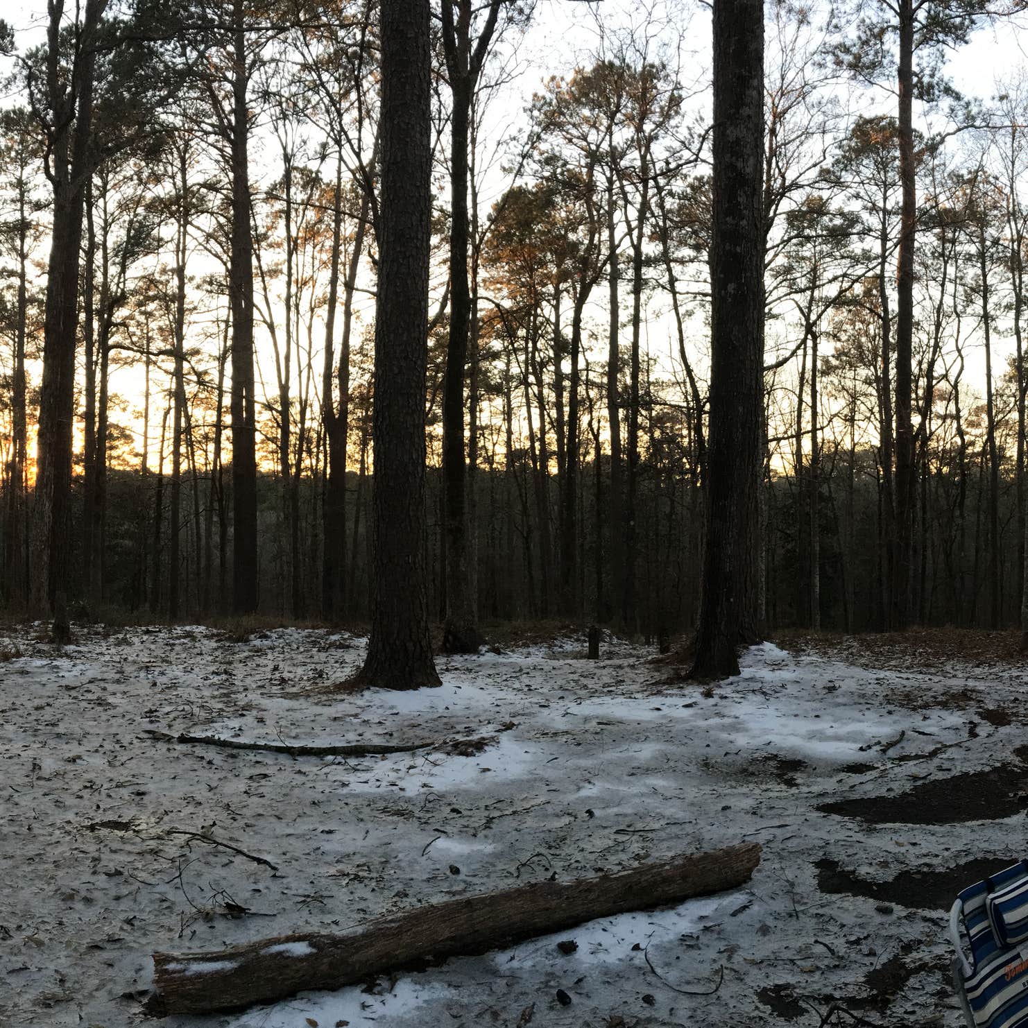 Clear Springs Recreation Area Camping | The Dyrt