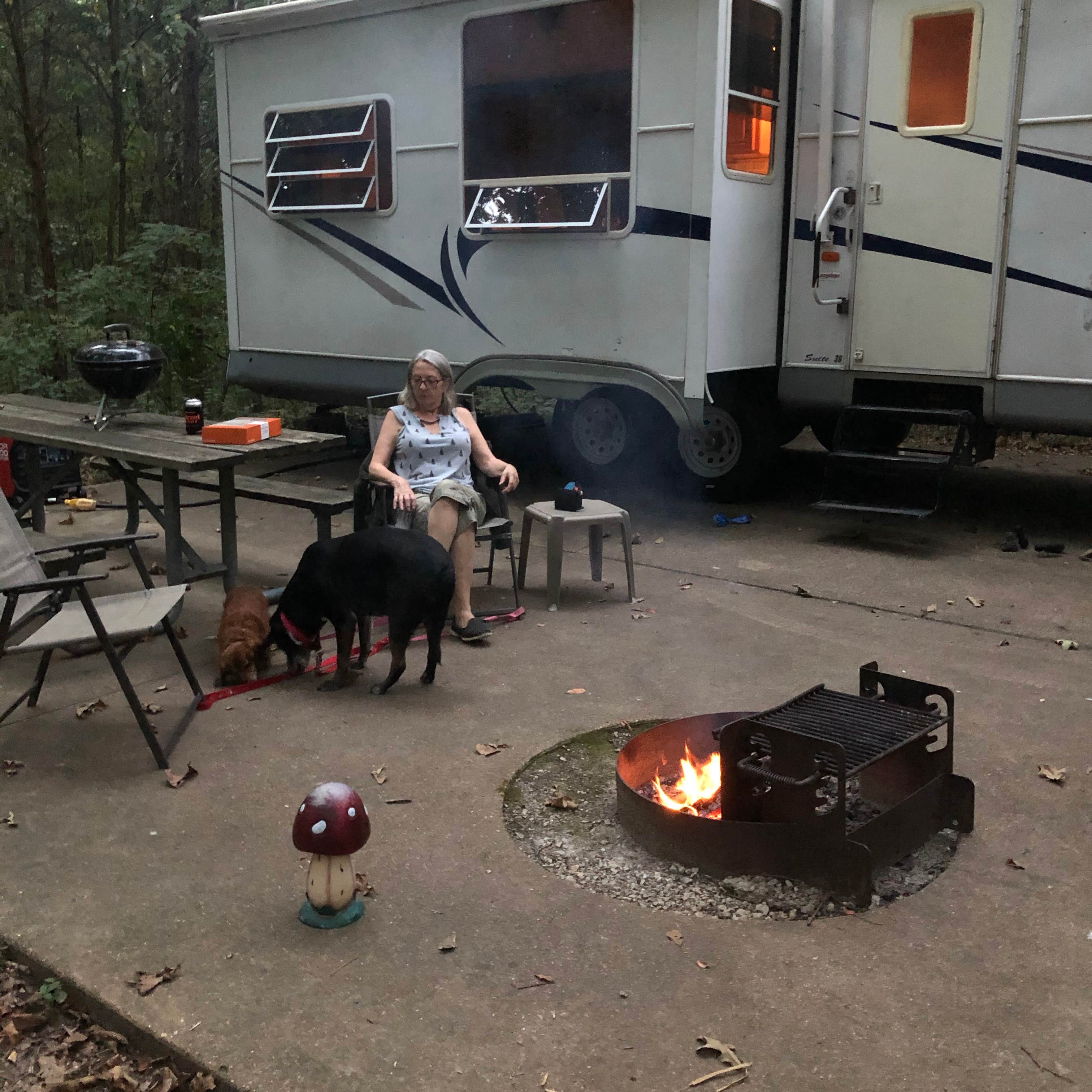 Robertsville State Park Campground | Robertsville, Missouri