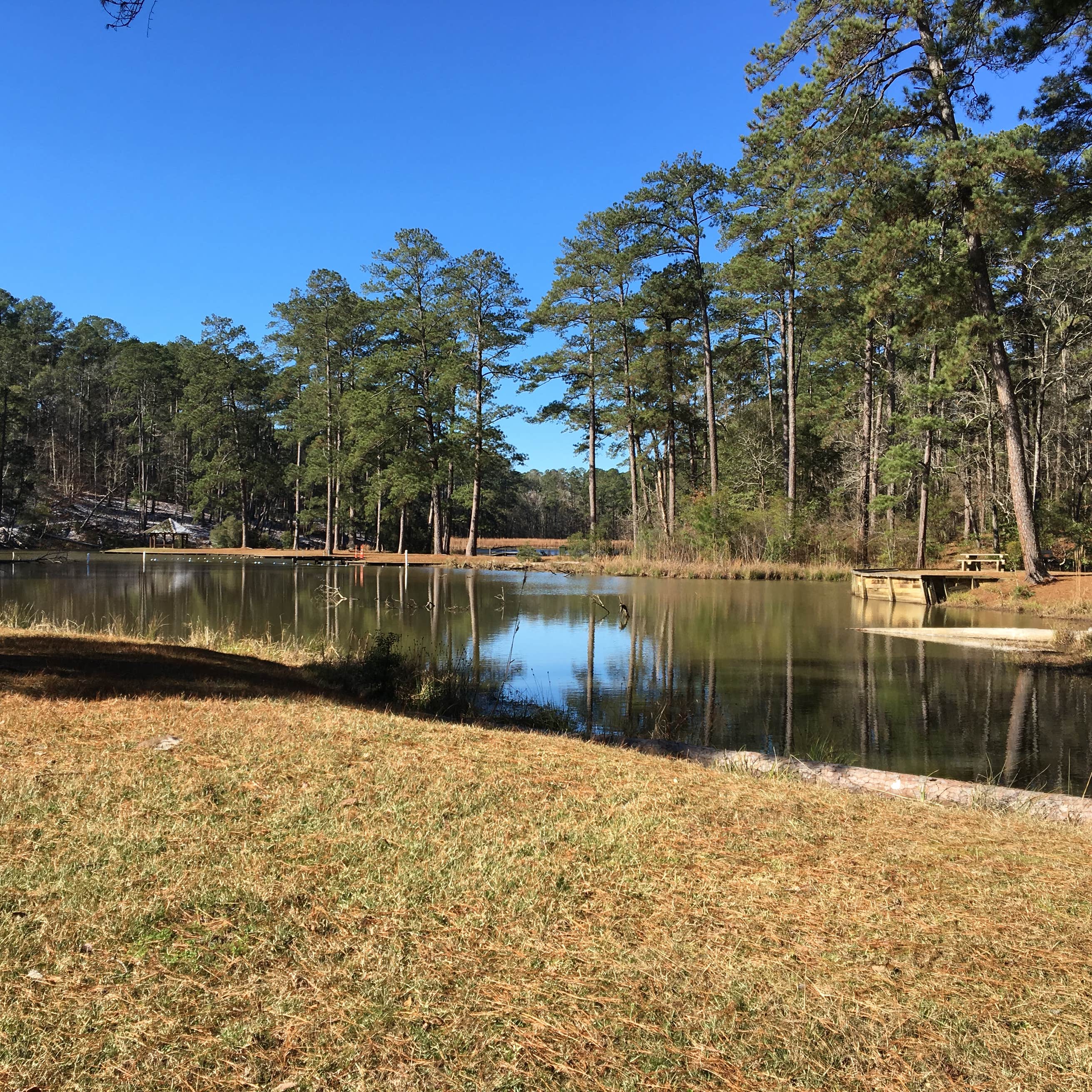 Clear Springs Recreation Area Camping | The Dyrt