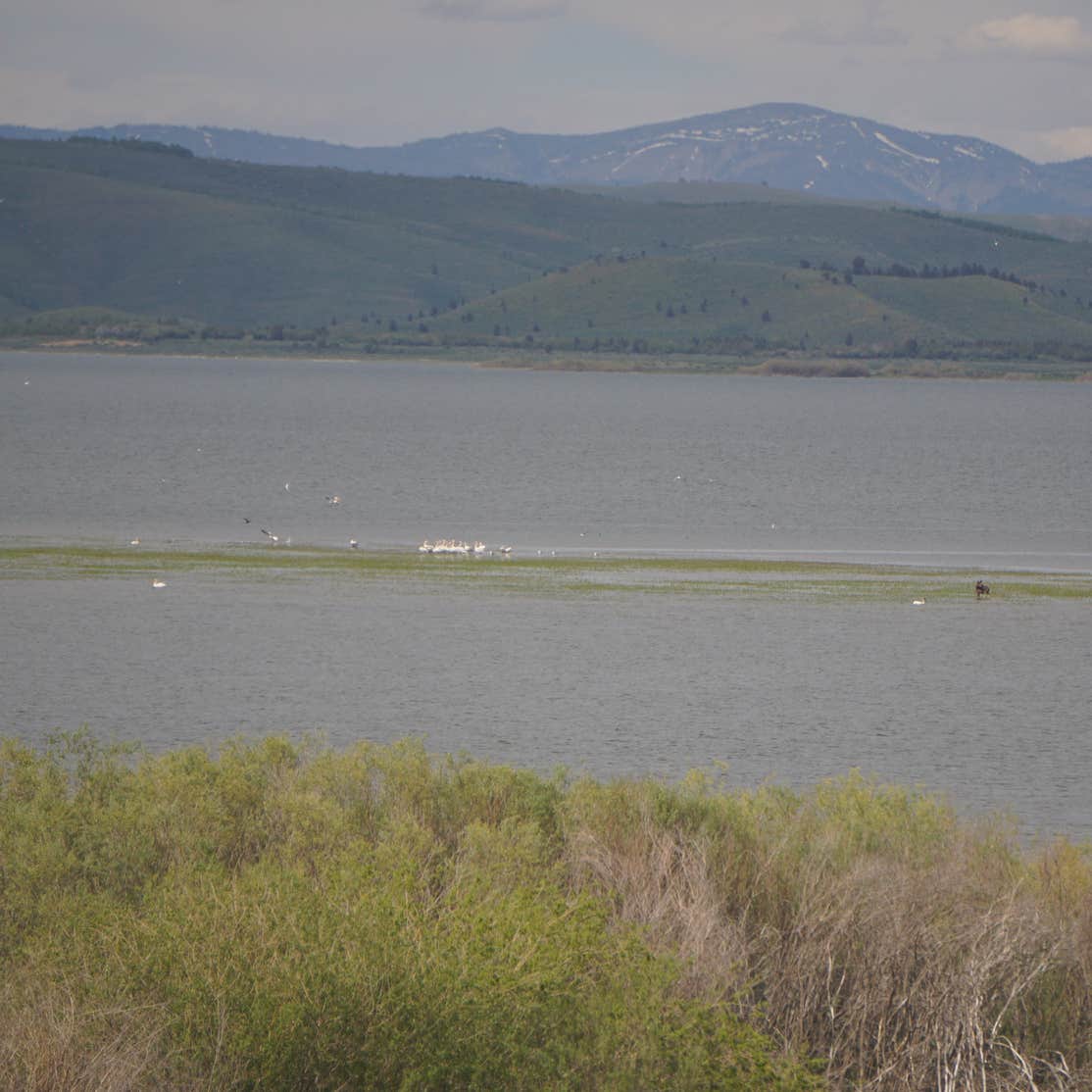 Blackfoot Reservoir Campground | Soda Springs, Idaho
