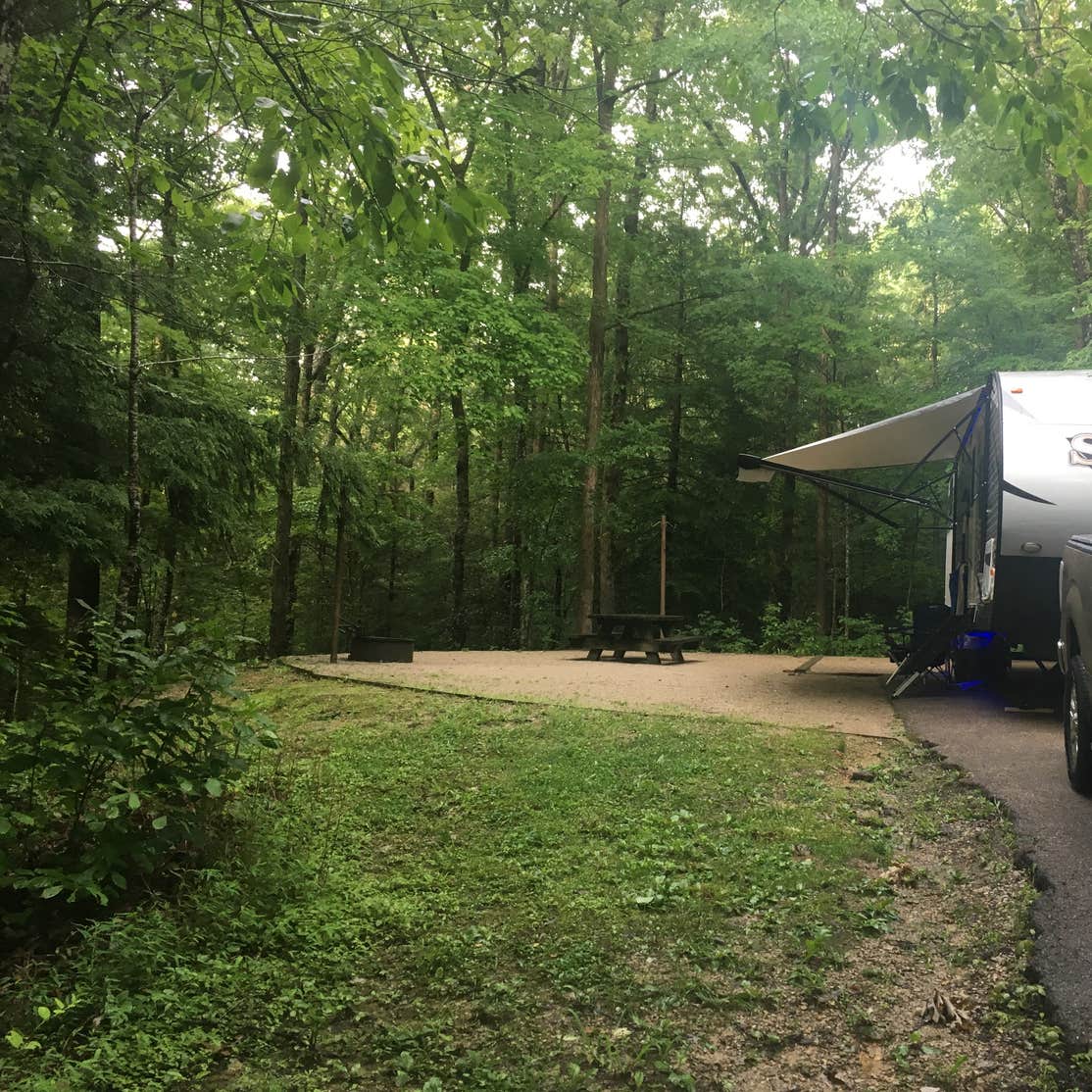 Holly Bay Camping | London, KY