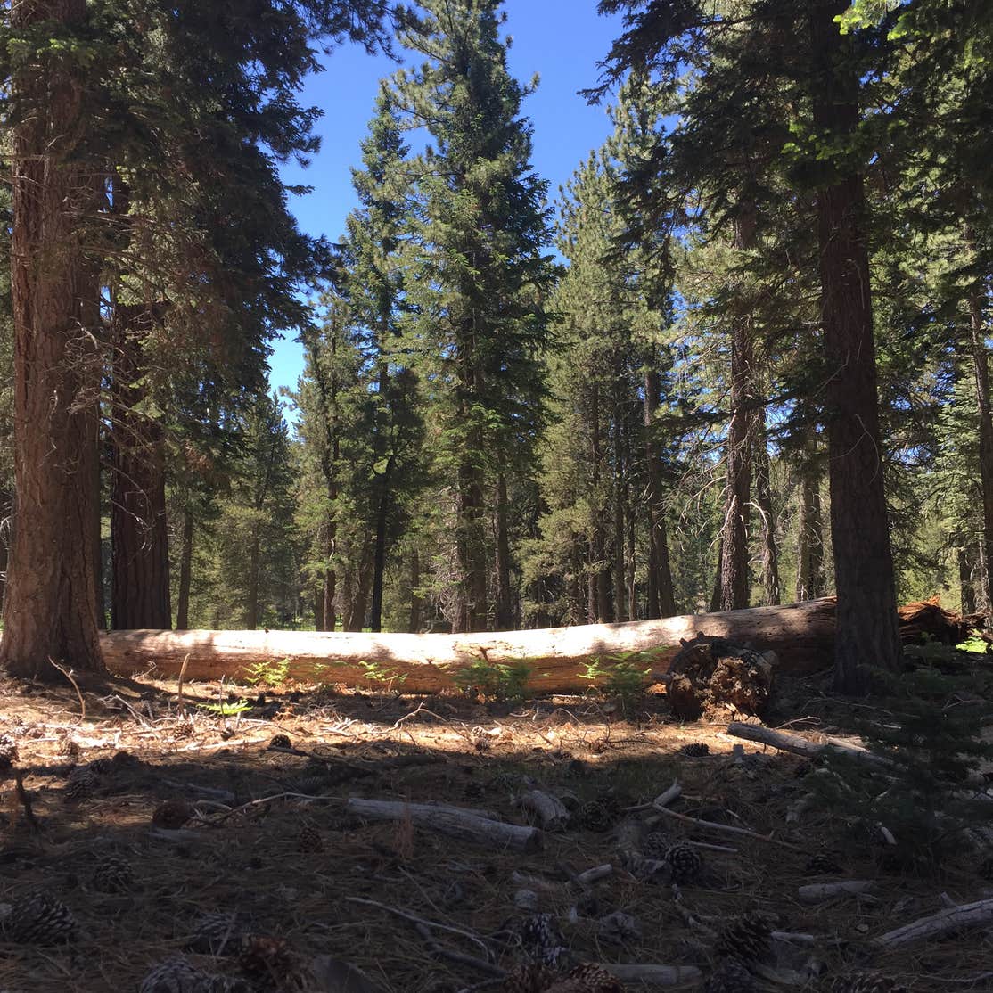 Military Park Miramar Marine Corps Air Station Big Bear Recreation Facility Camping | Big Bear ...