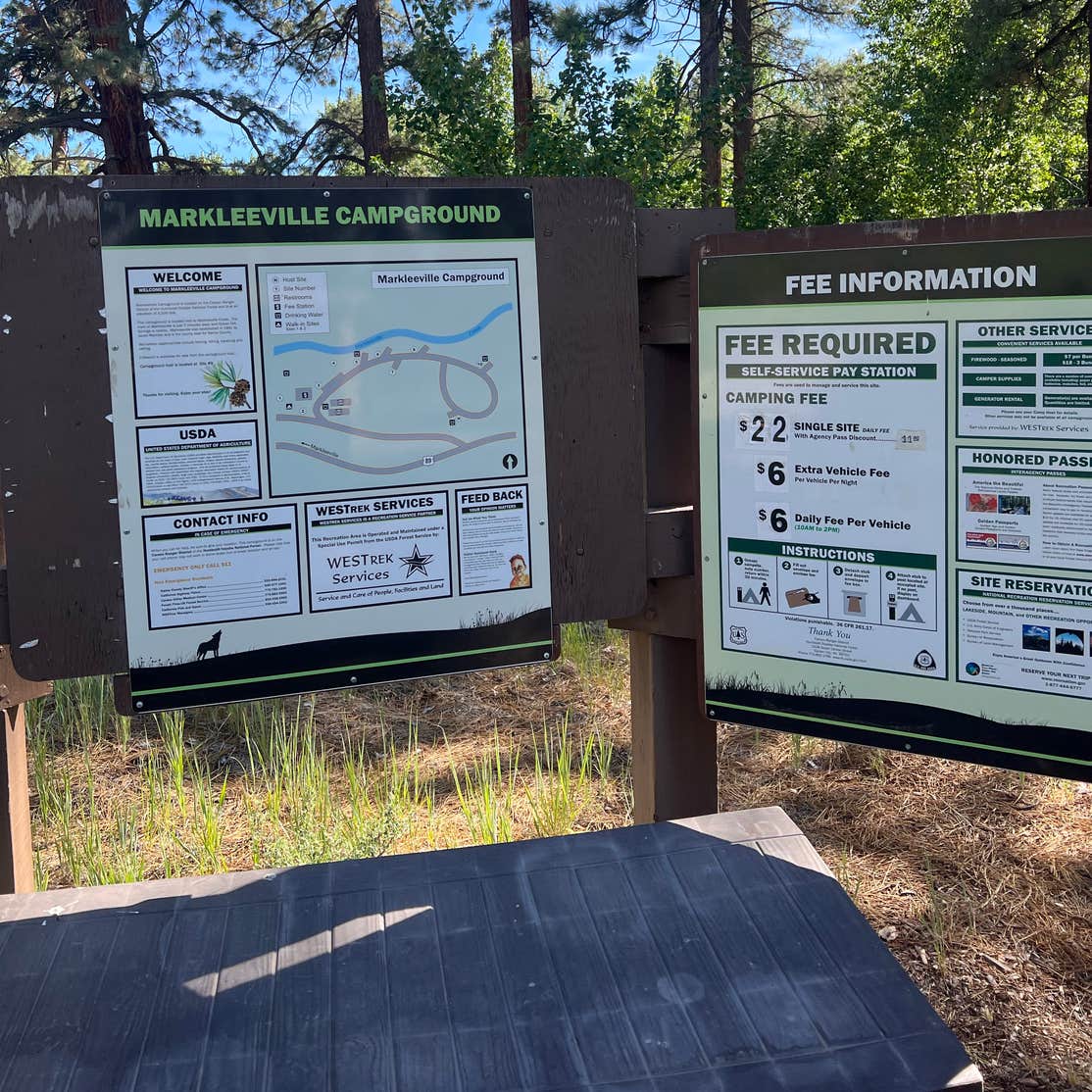 Markleeville Campground - Temporarily Closed | Markleeville, California