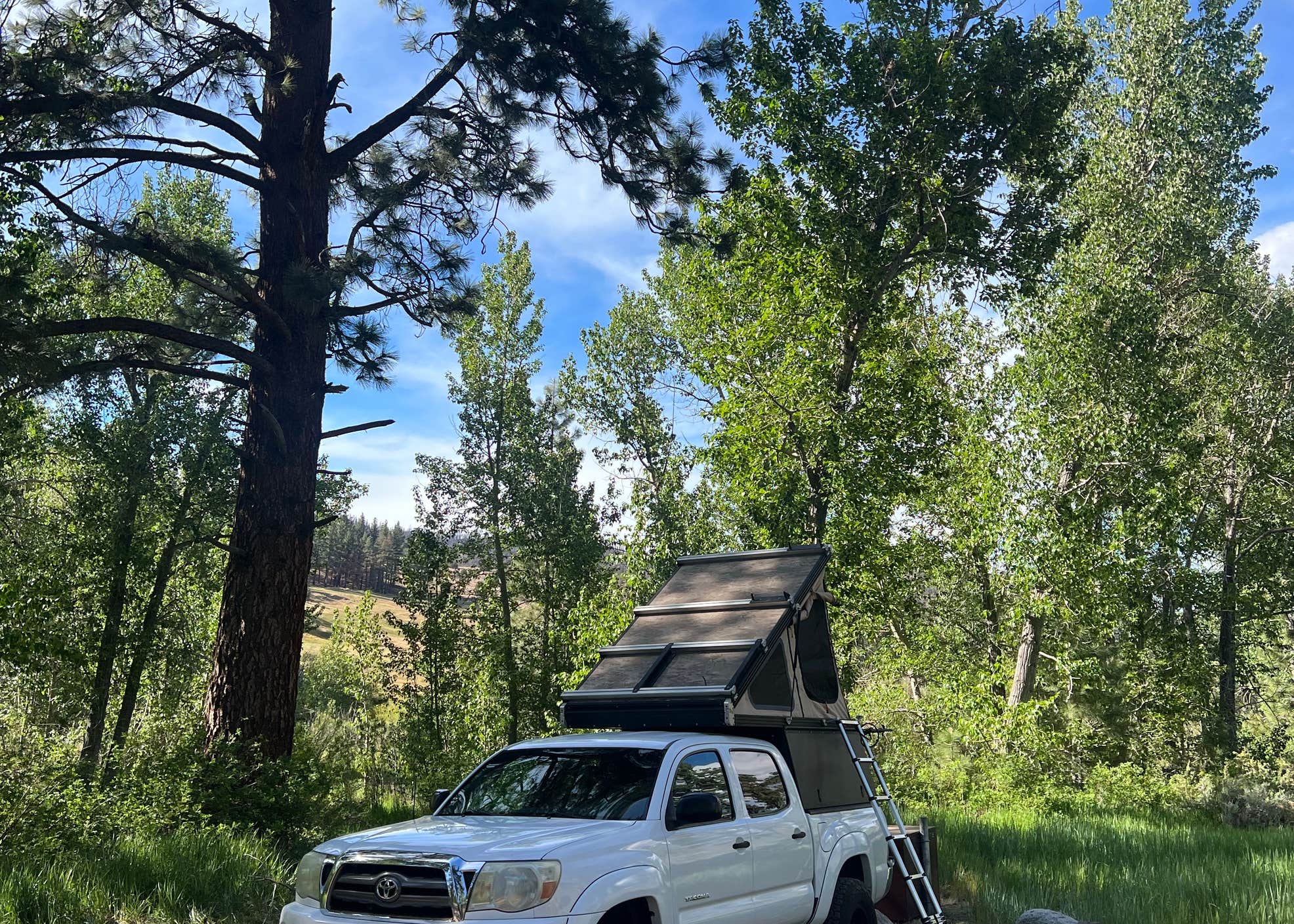 Markleeville Campground - Temporarily Closed Camping | The Dyrt