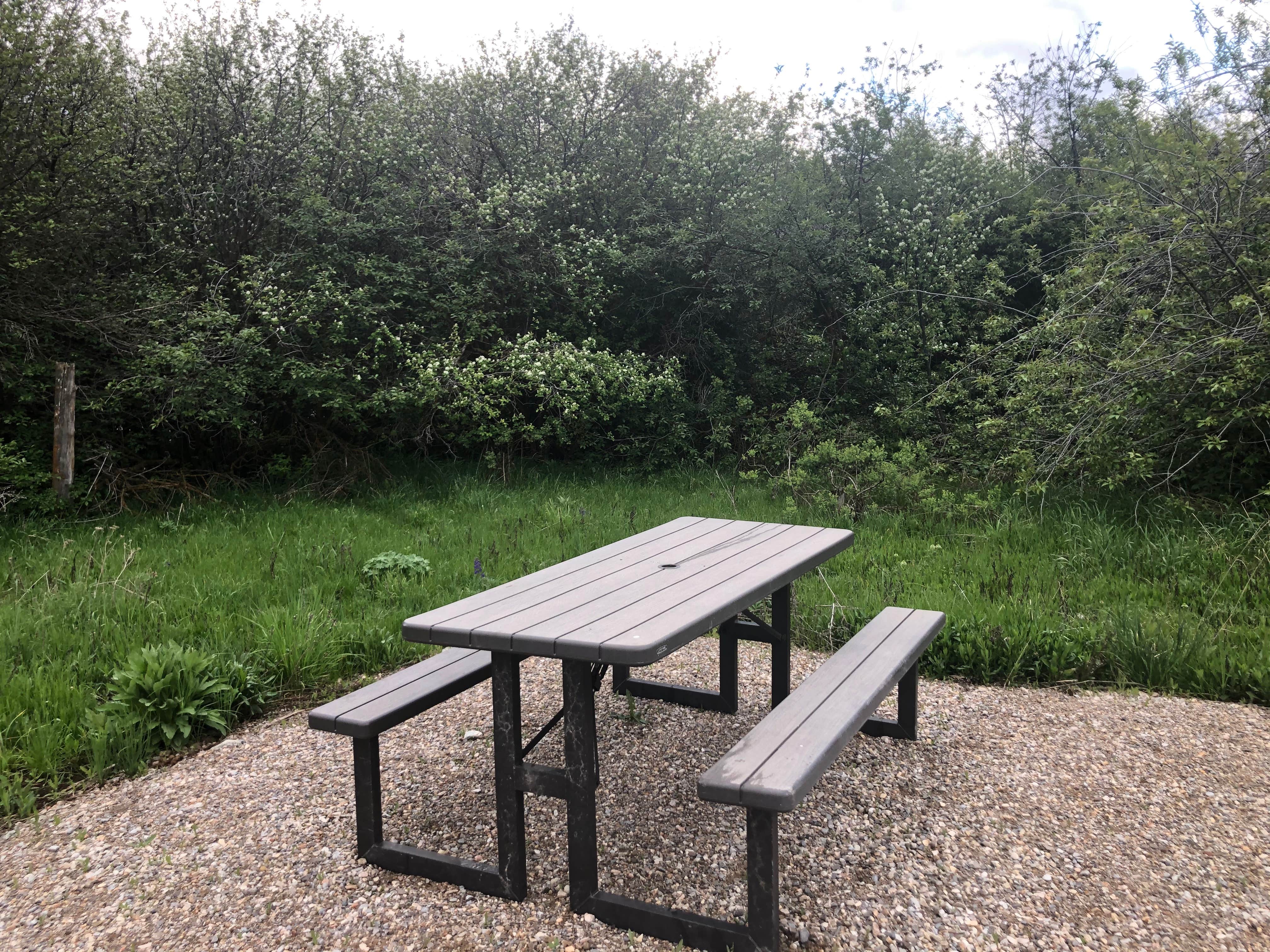 Grand Teton RV Getaway | Victor, Idaho