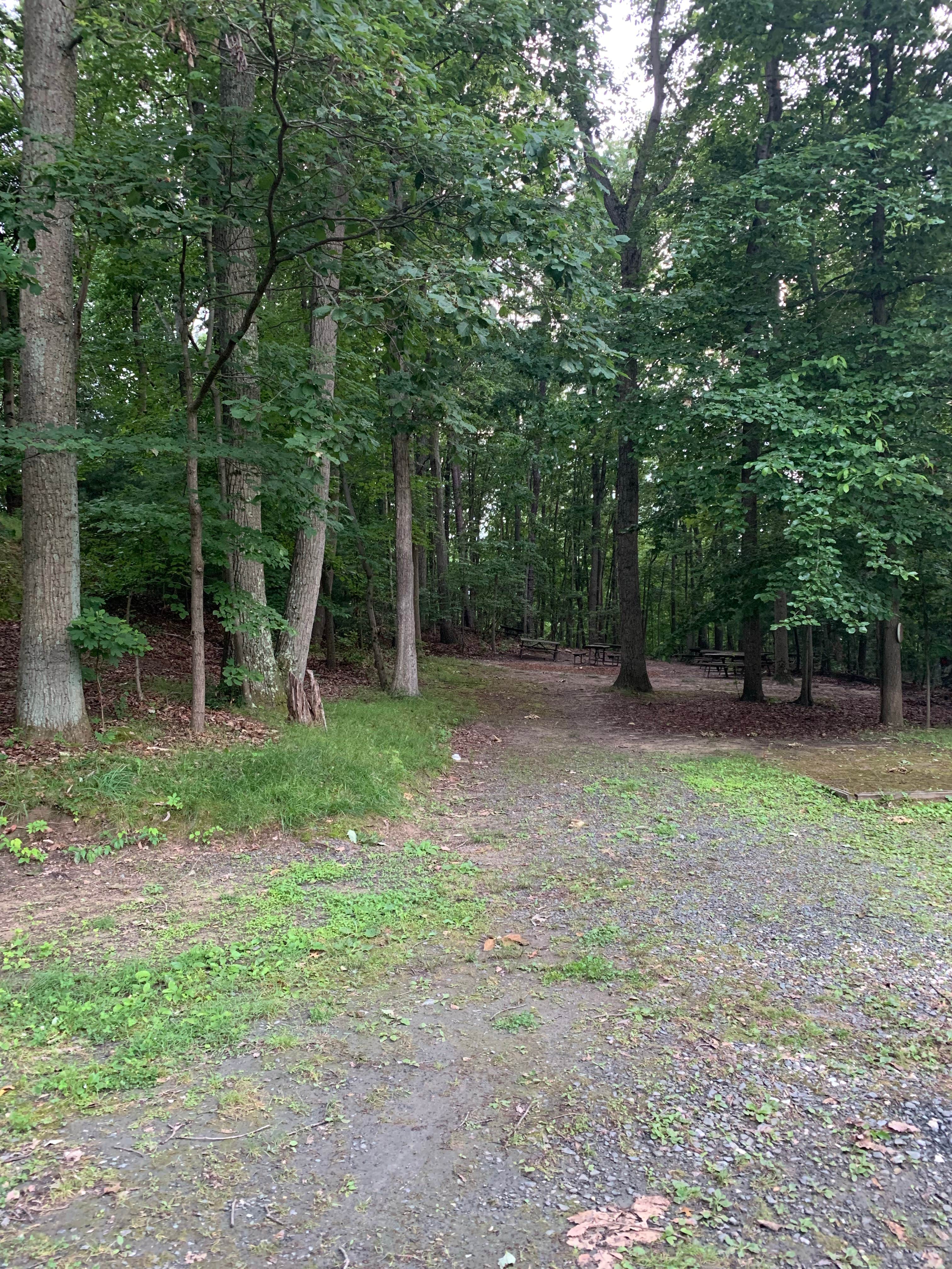 Washington DC / Capitol KOA Camping | Millersville, Maryland