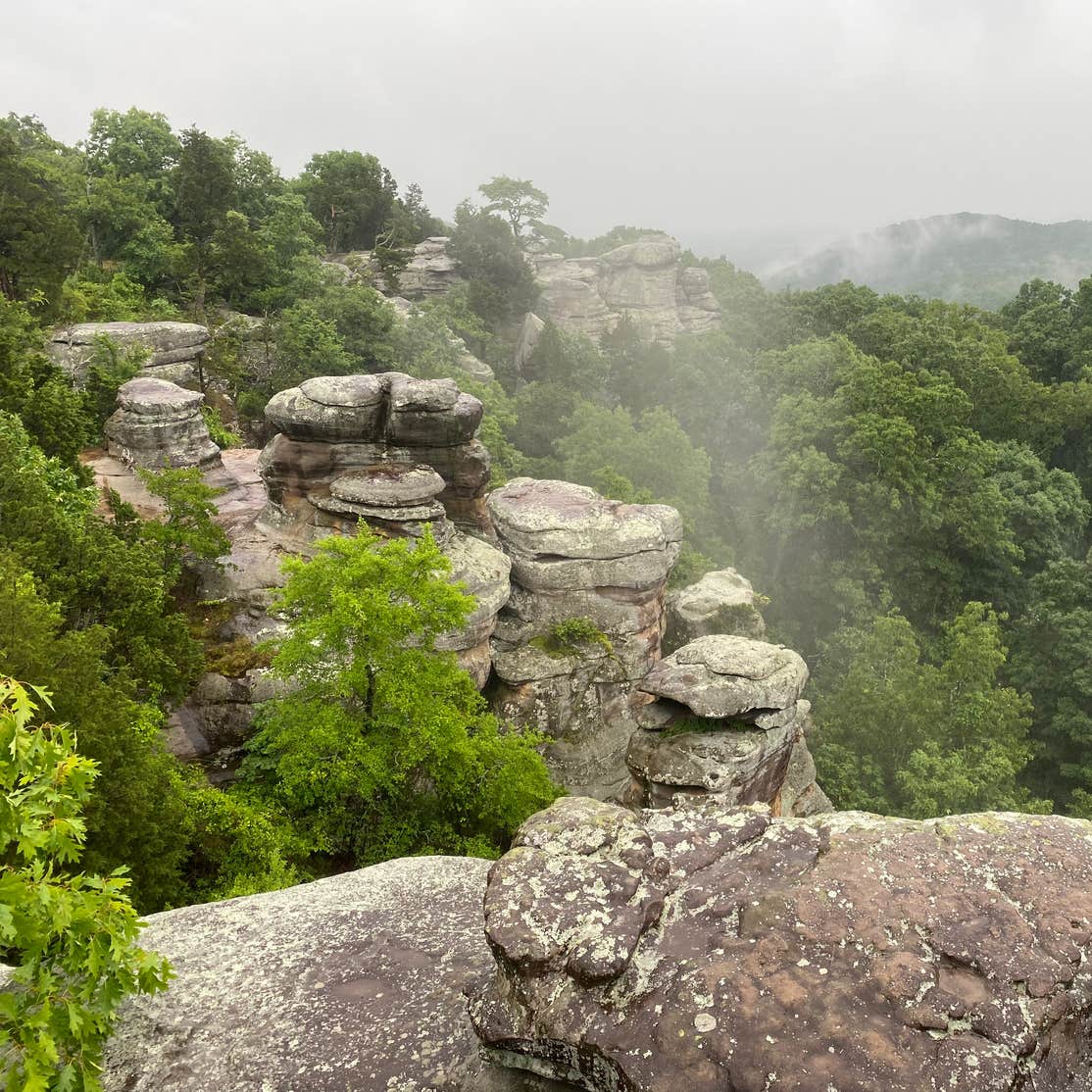 Dixon Springs State Park Campground | Grantsburg, Illinois