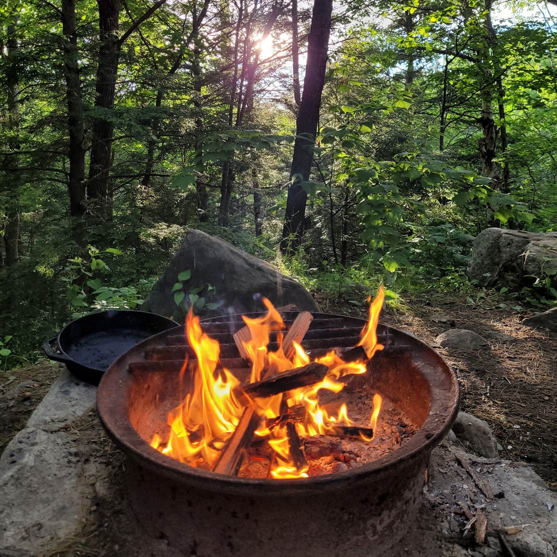 Timberland Campground | Shelburne, NH