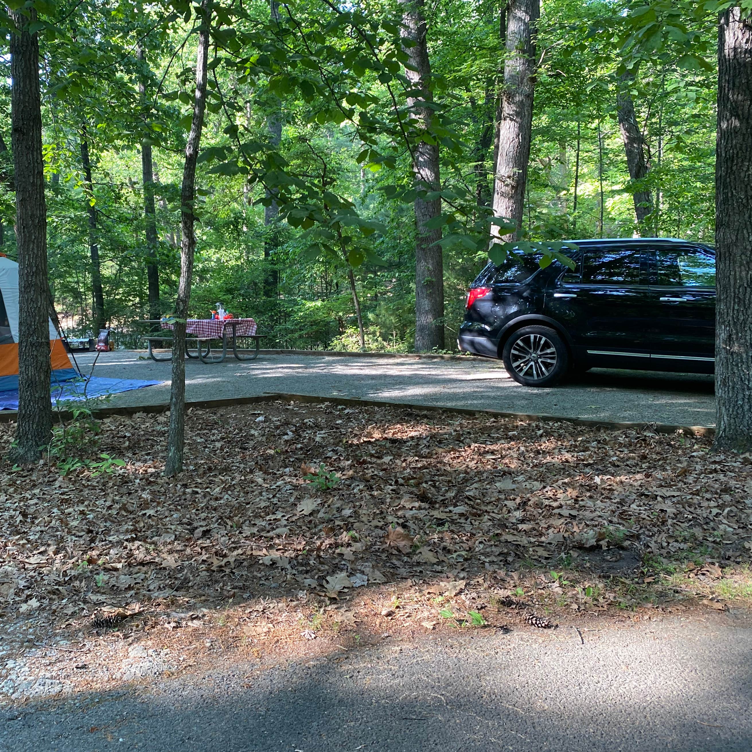 Claytor Lake State Park Campground | Newbern, Virginia