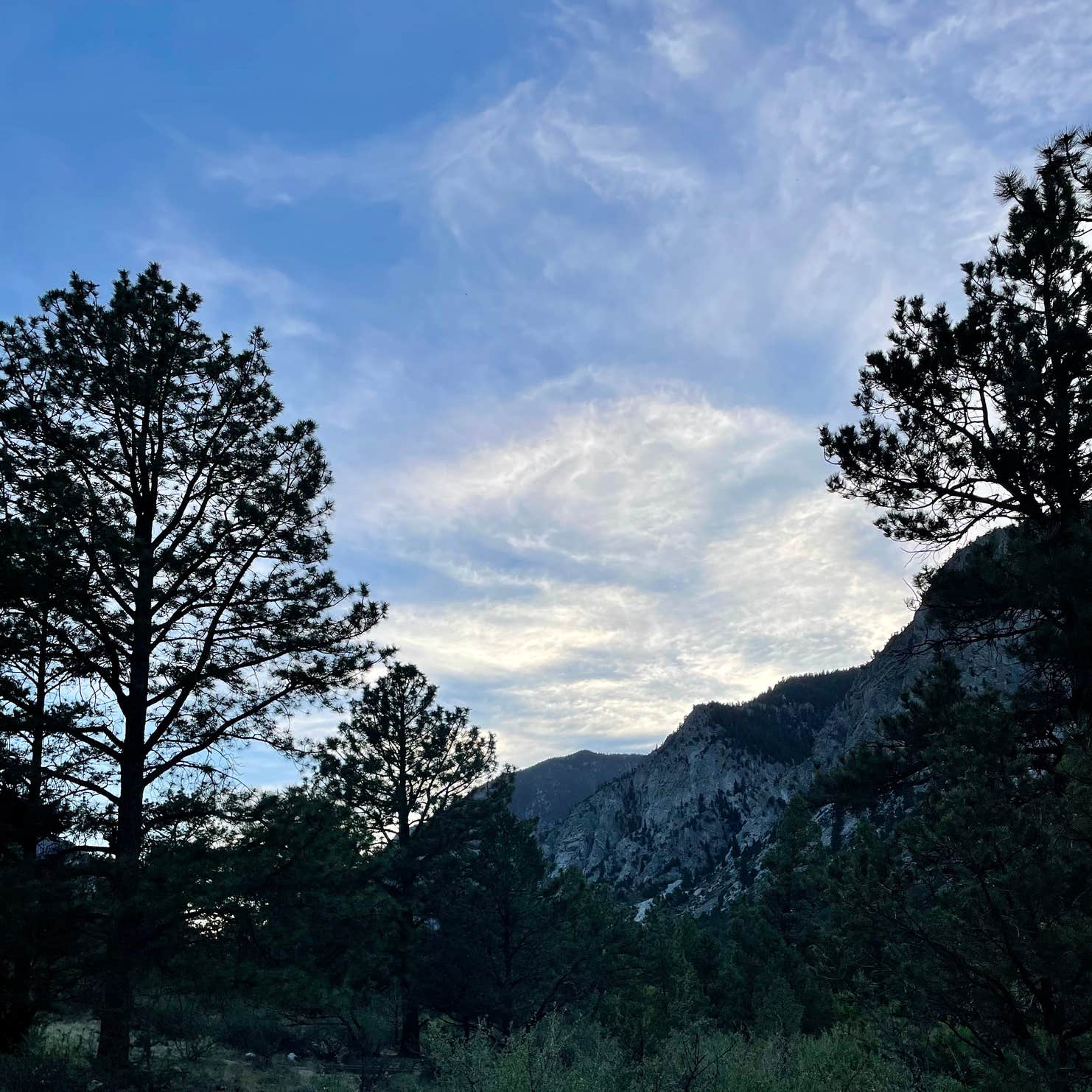 Bootleg Campground Camping | The Dyrt