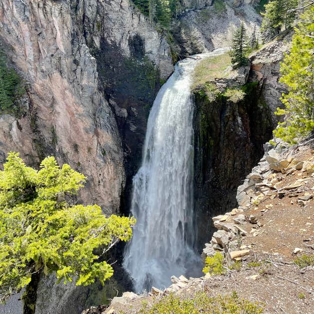 Rimrock Lake Resort Camping | Goose Prairie, Washington