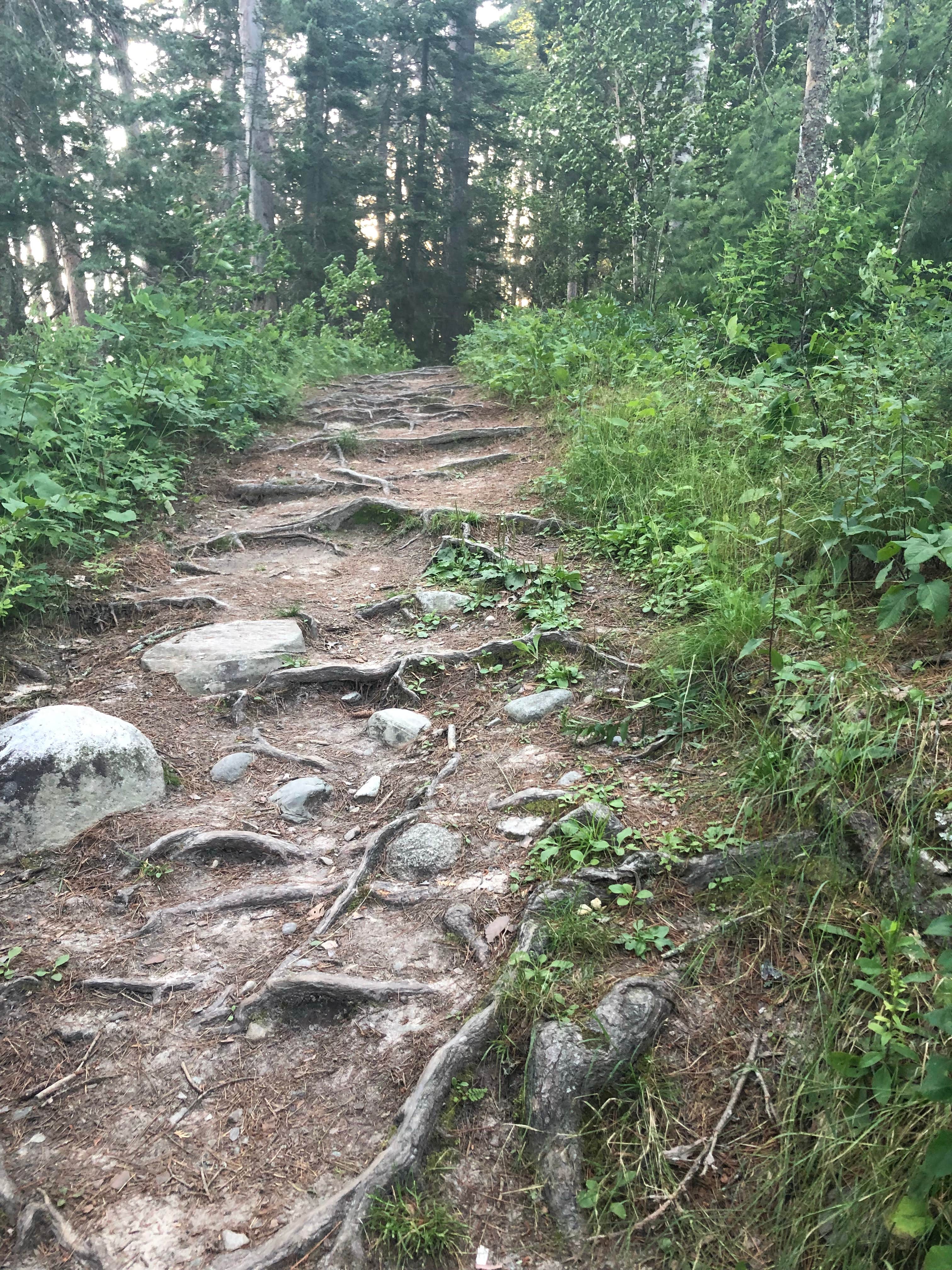Scenic State Park Campground | Bigfork, MN