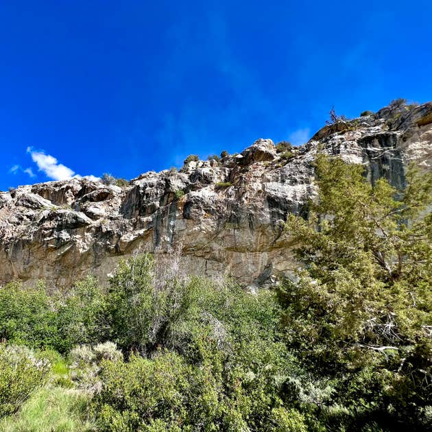 Grey Cliffs Campground — Great Basin National Park | Baker, Nevada