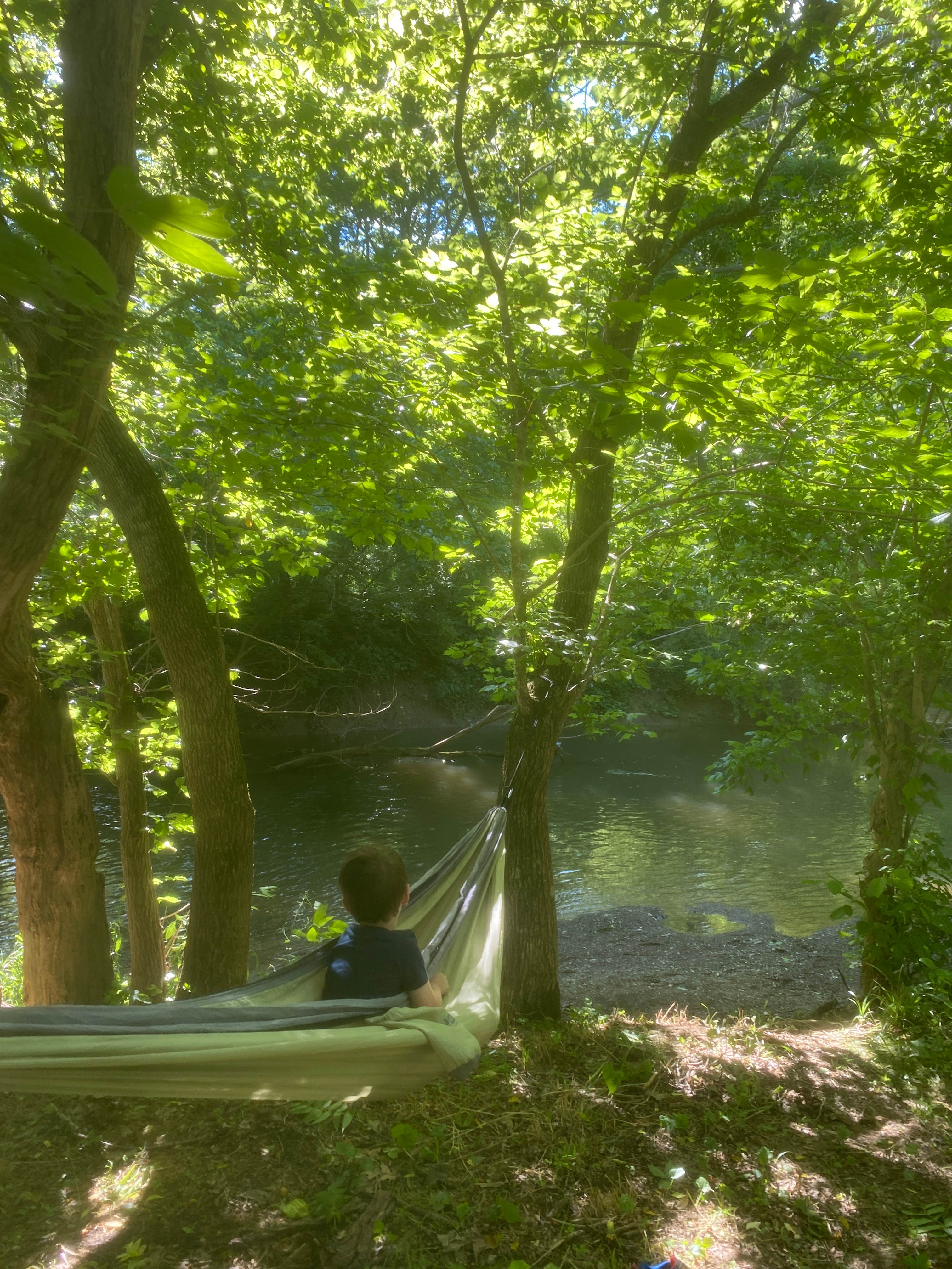 Berryville Berries Camping | Boyce, VA