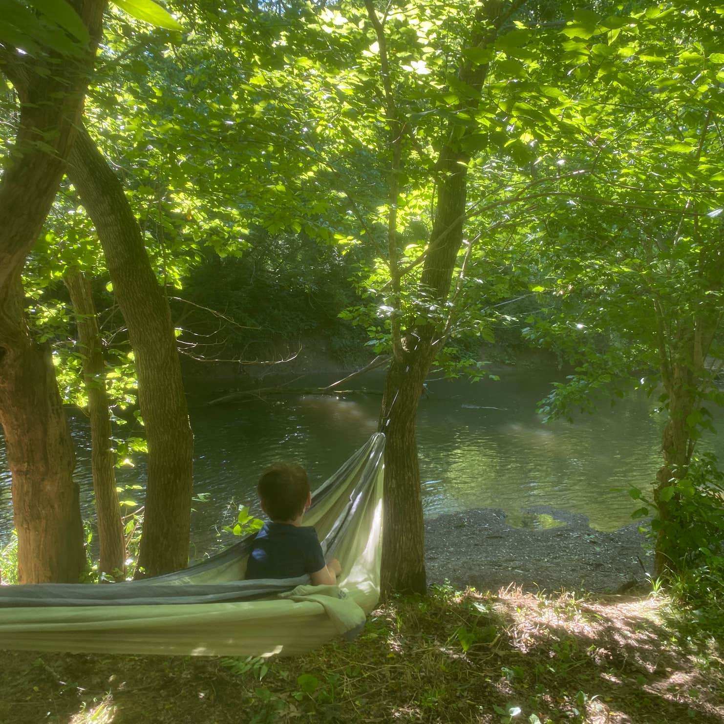 Berryville Berries Camping | Boyce, Virginia