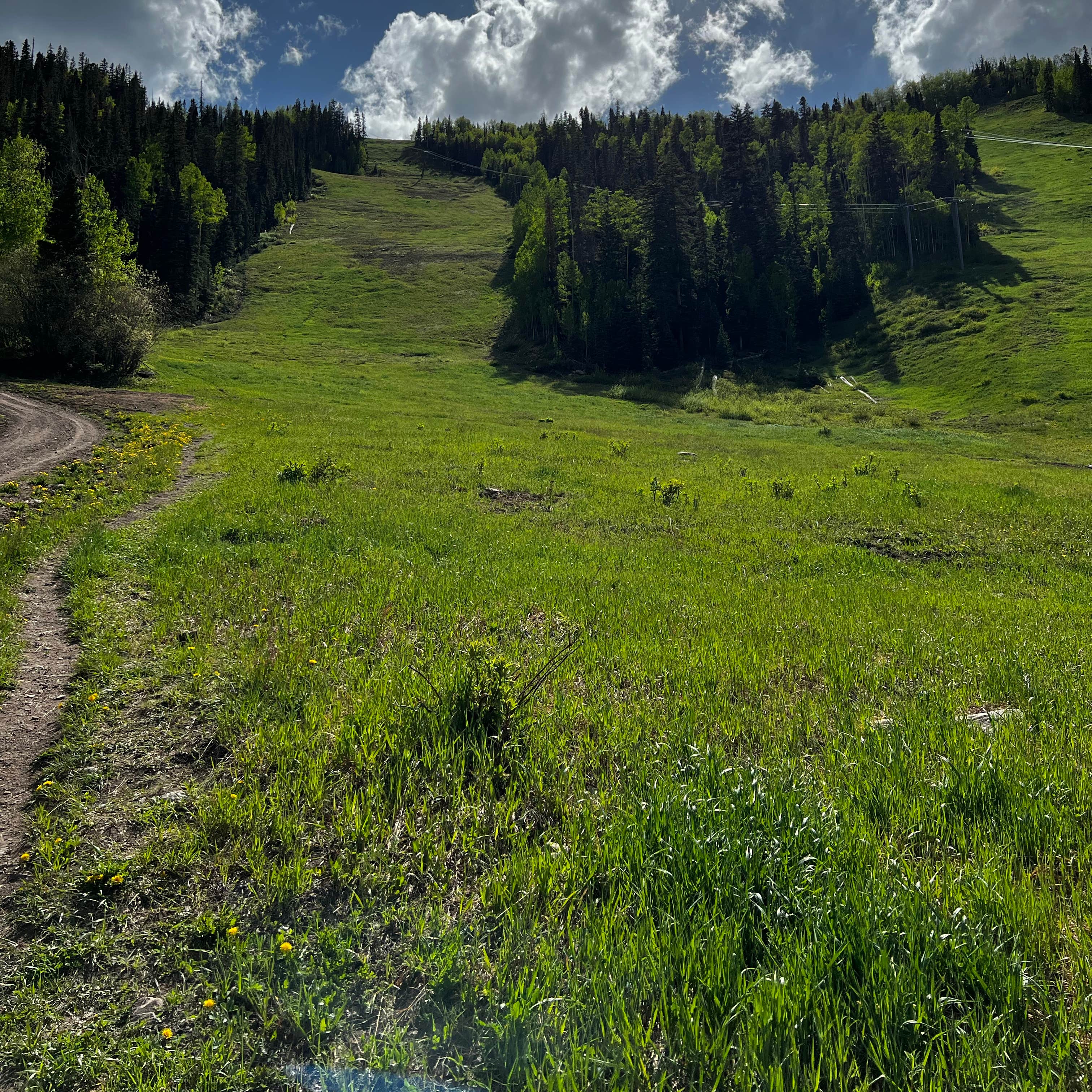 Telluride Town Park Campground | Telluride, CO