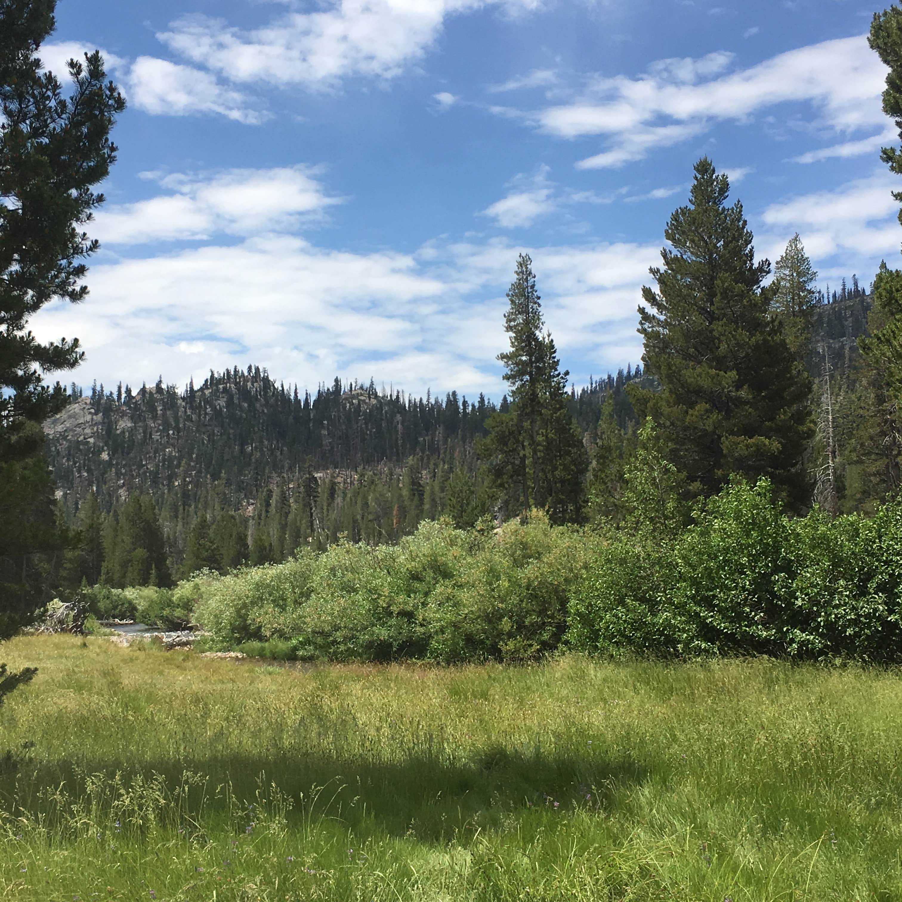 Minaret Falls Campground Camping | The Dyrt