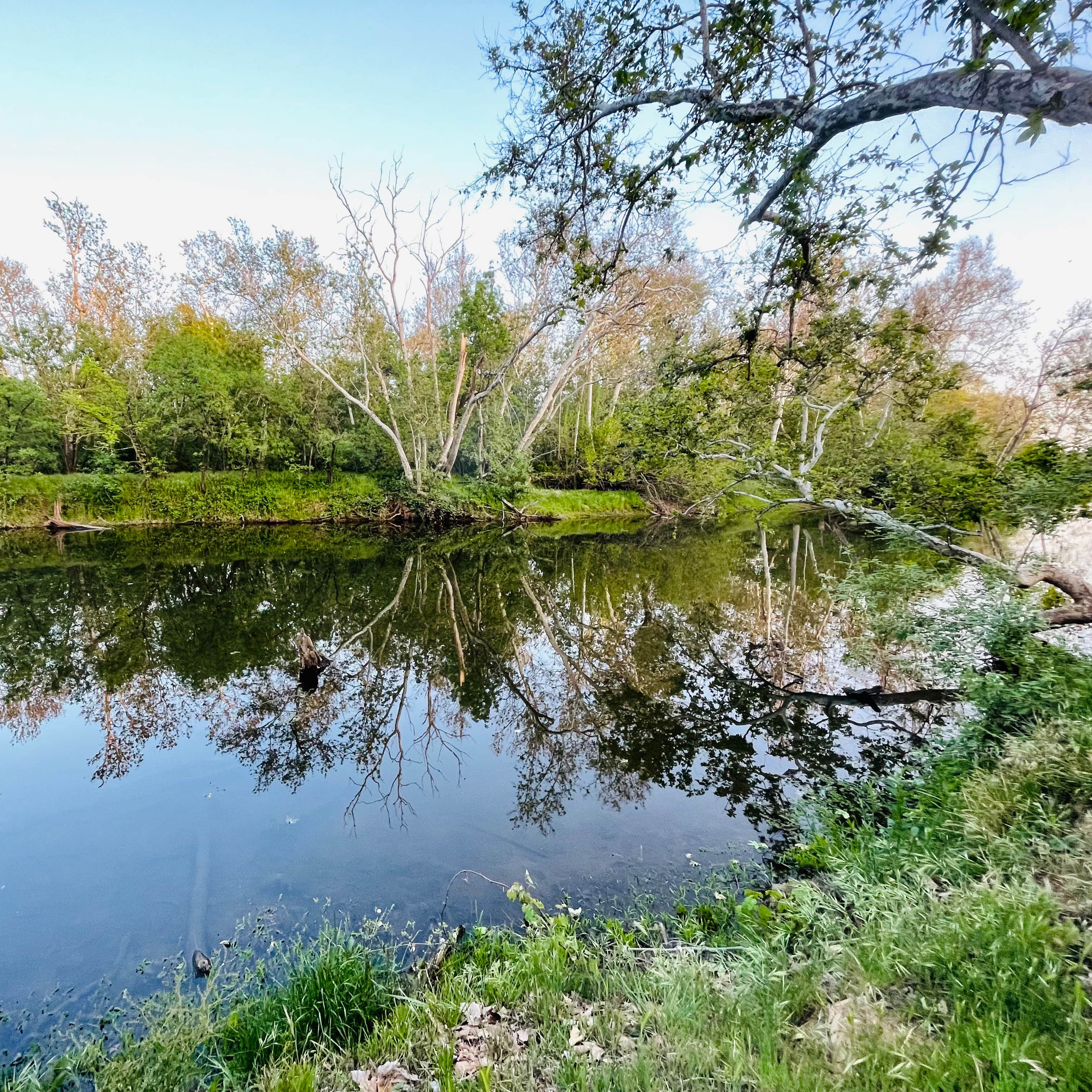 Sycamore Ranch RV Park | Browns Valley, CA