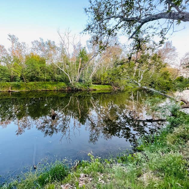 Sycamore Ranch RV Park | Browns Valley, CA