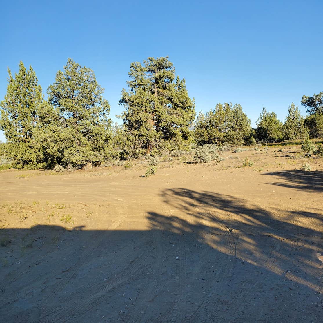 Reynolds Pond Recreation Site Camping | Powell Butte, OR