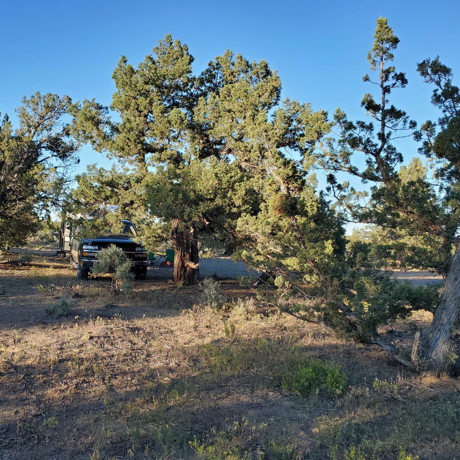 Reynolds Pond Recreation Site Camping | Powell Butte, OR