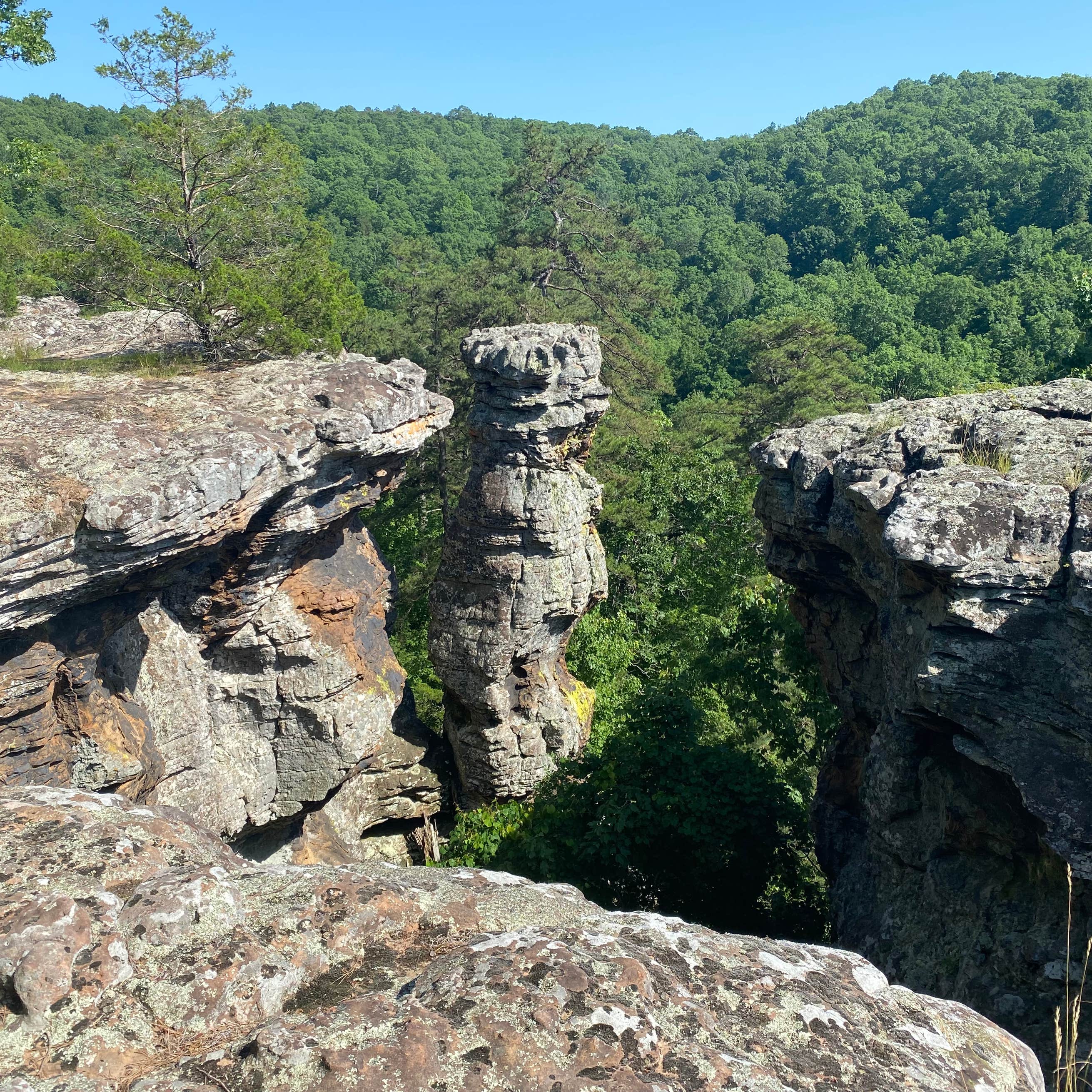 Macks Pines Camping | The Dyrt