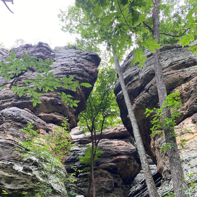 Dixon Springs State Park Campground | Golconda, IL