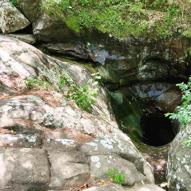 Macks Pines Camping | Hector, Arkansas