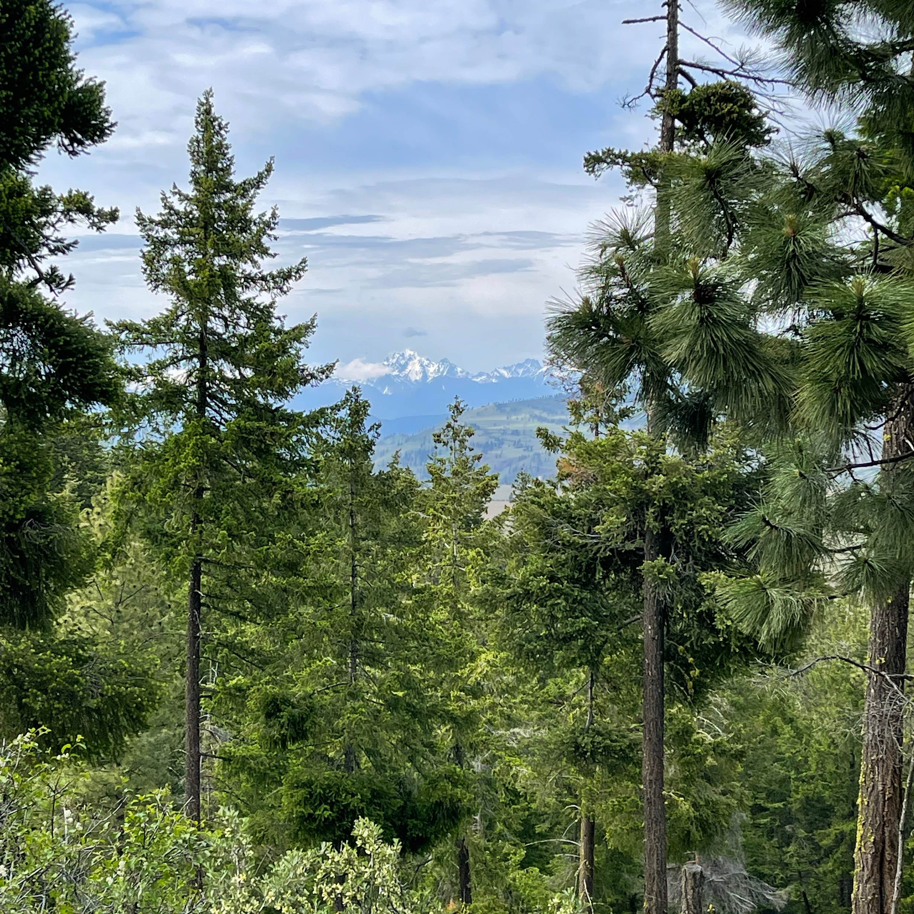 L.T. Murray Wildlife Area Camping | Thorp, WA