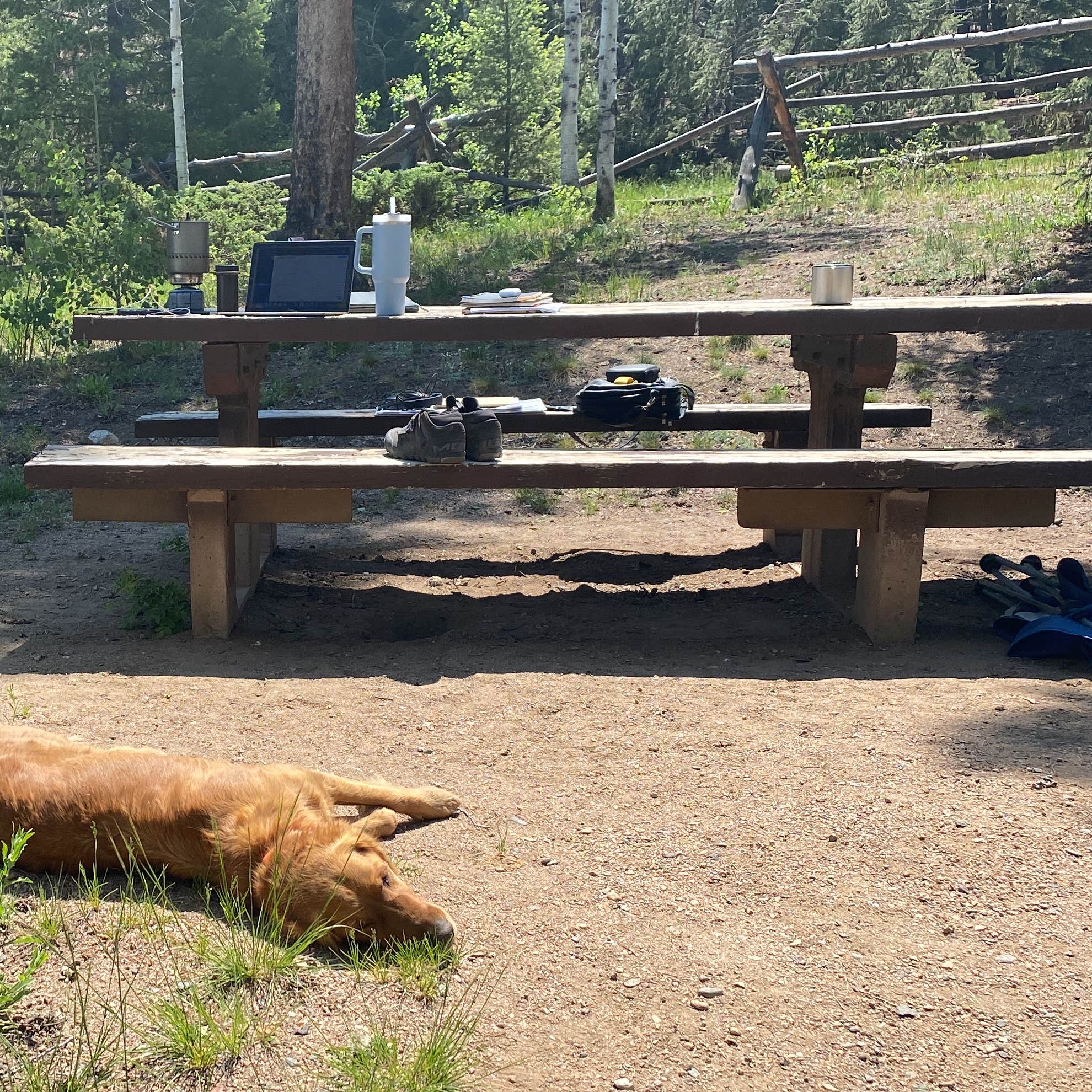 One Mile Camping | Almont, Colorado