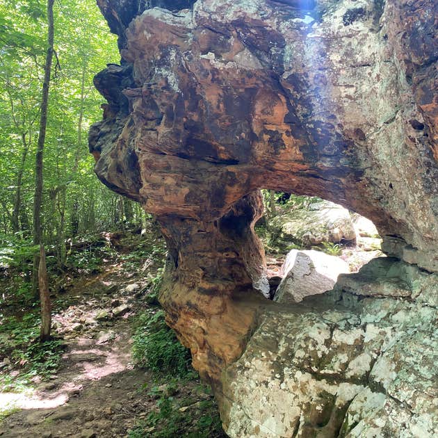 Macks Pines Camping | Hector, Arkansas