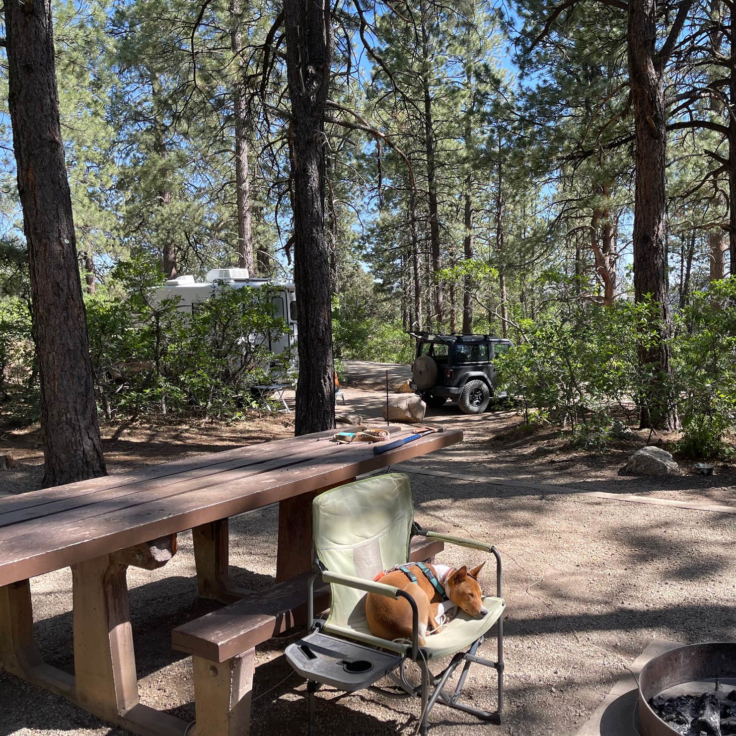 Target Tree Campground | Hesperus, CO