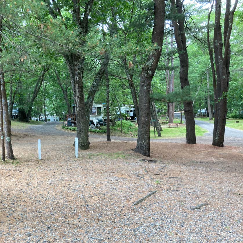 The Pines Camping Area Camping | The Dyrt