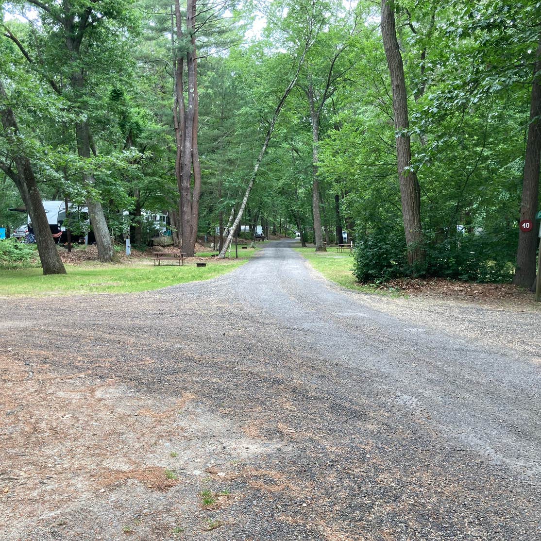 The Pines Camping Area Camping | The Dyrt