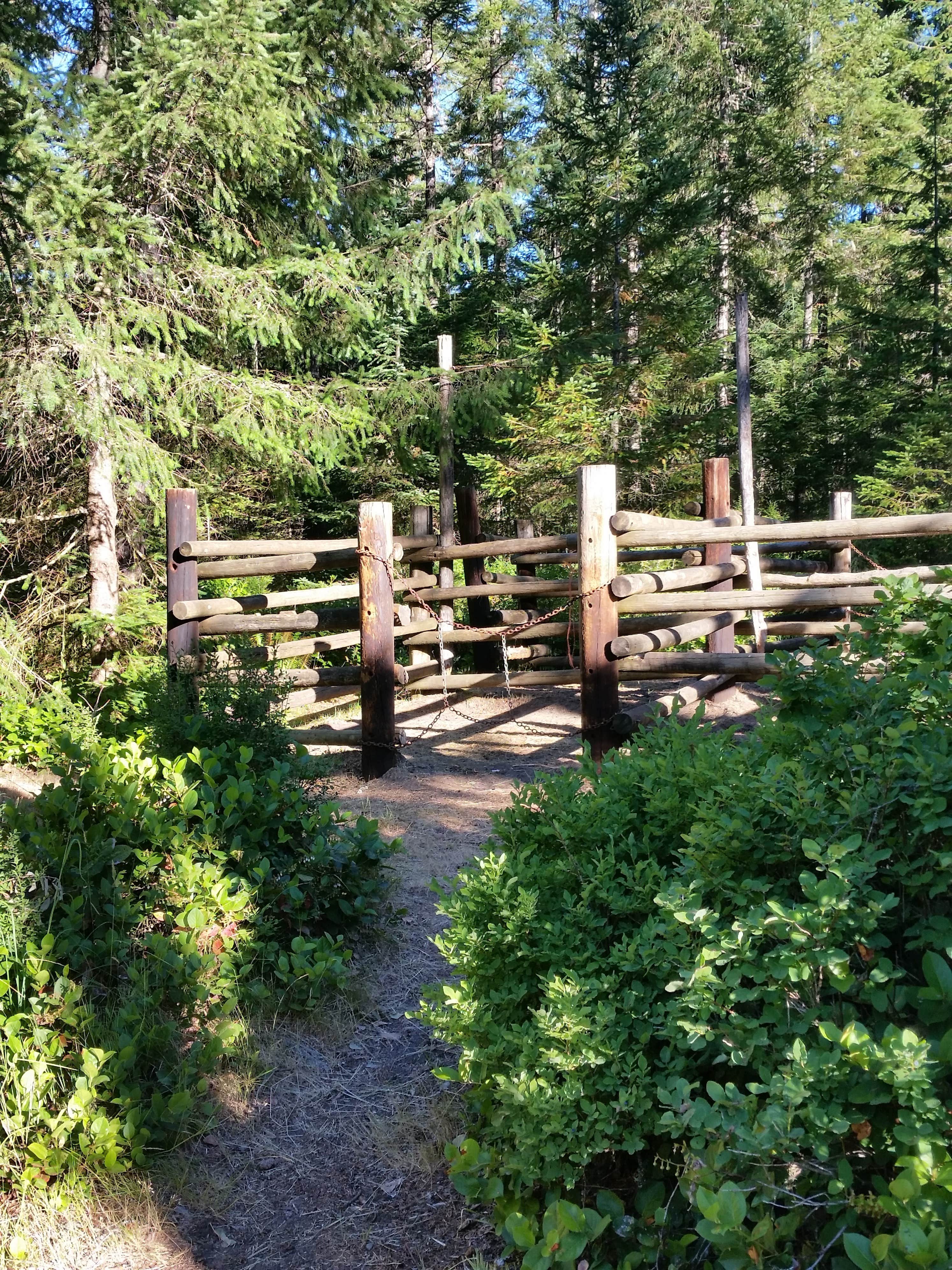 Kalama Horse Camp Campground | Cougar, Washington