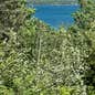 Whitewater Township Park Campground | Williamsburg, Michigan